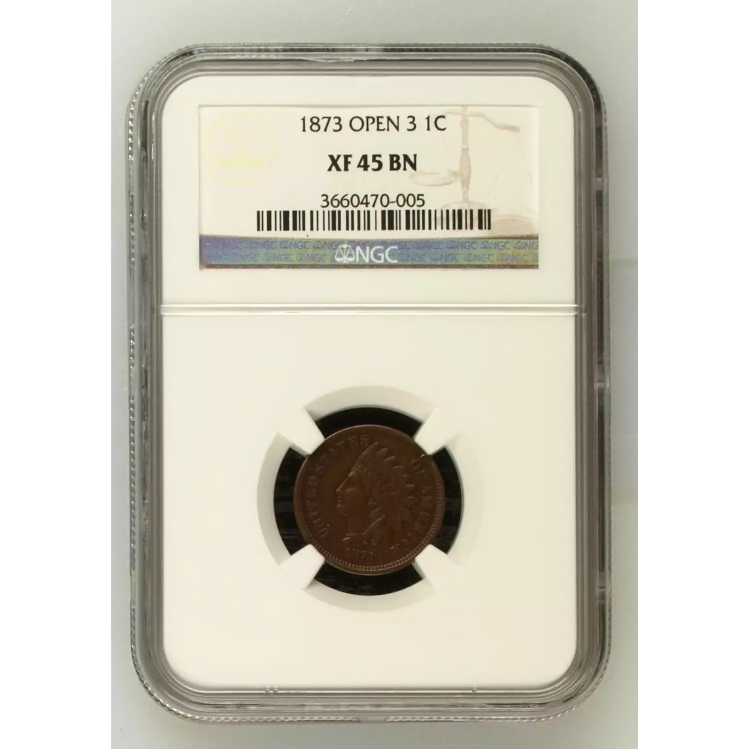 1873 Small Cents Indian Head NGC XF-45 BN Open 3 - Hyatt Coins