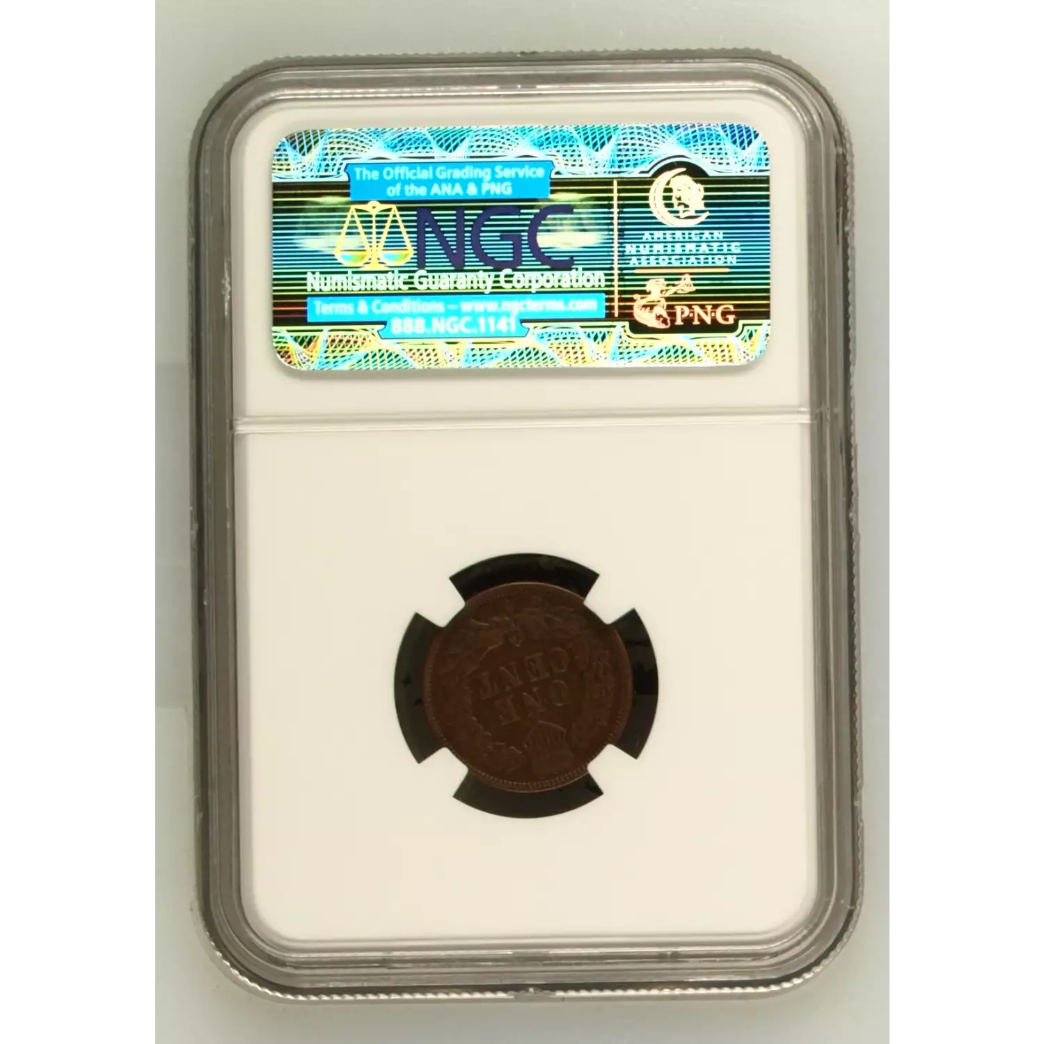 1873 Small Cents Indian Head NGC XF-45 BN Open 3 - Hyatt Coins