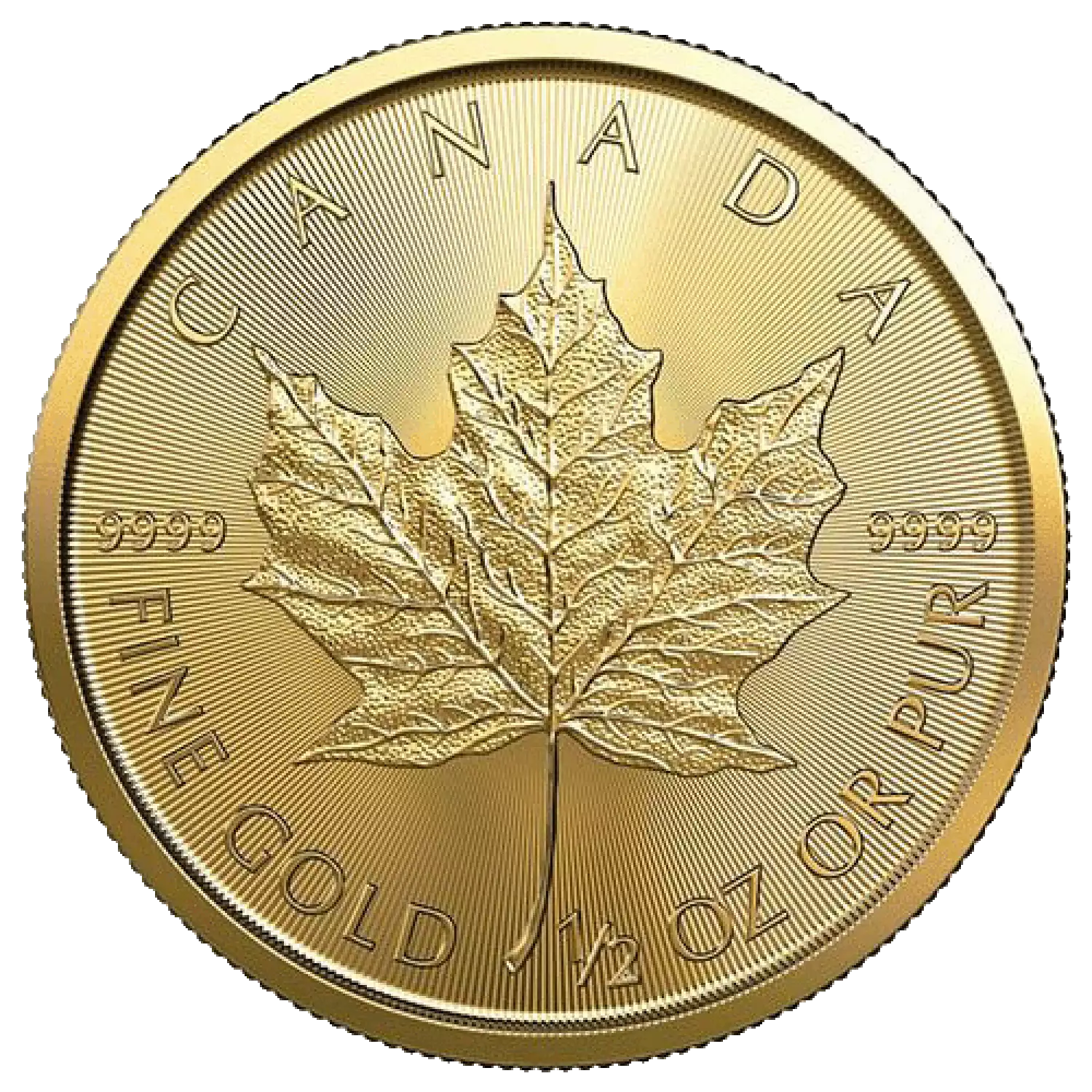 2024 1/2 oz Gold Maple Leaf | Canadian Gold - Hyatt Coins
