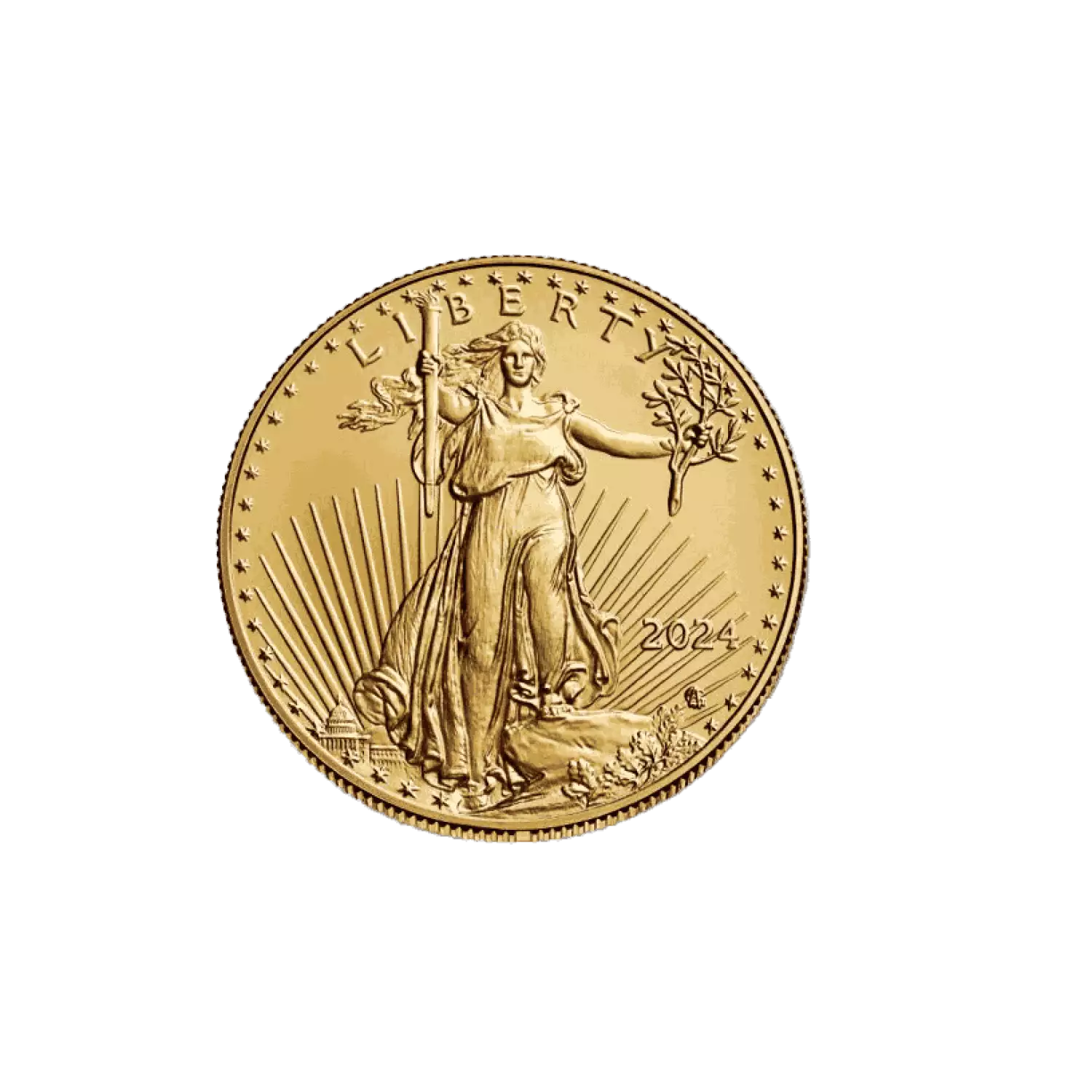 2024 Gold American Eagle Coin | 1oz Gold coin - Hyatt Coins