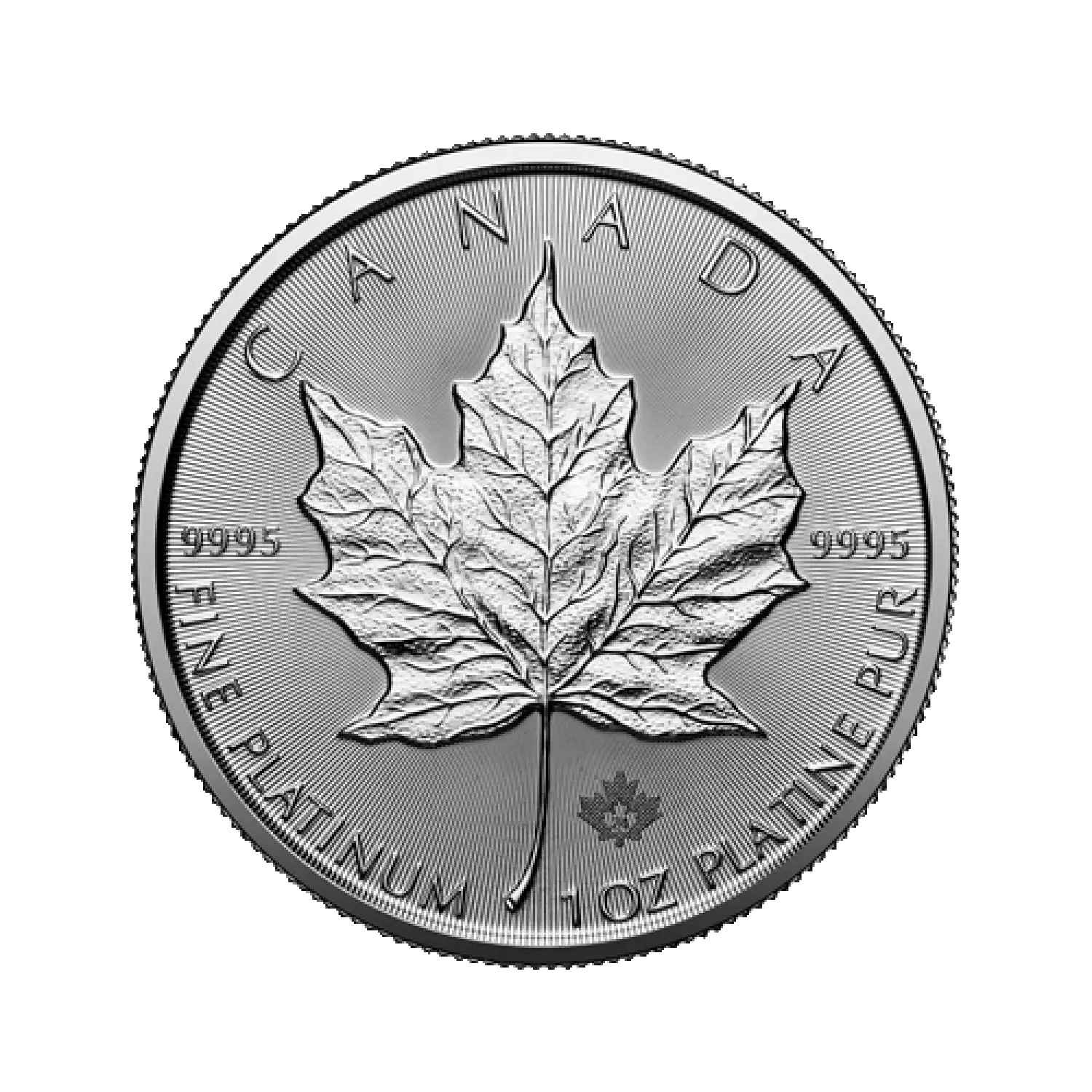 2024 1 oz Platinum Maple Leaf Coin | Canadian Platinum Coin - Hyatt Coins