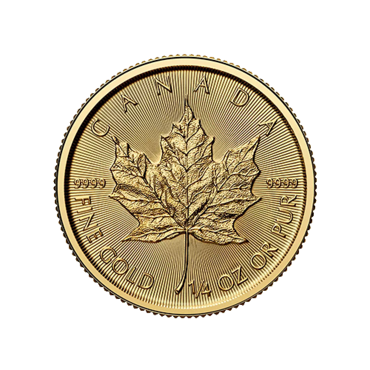 2025 1/4 oz Gold Maple Leaf Coin | Royal Canadian Mint - Hyatt Coins
