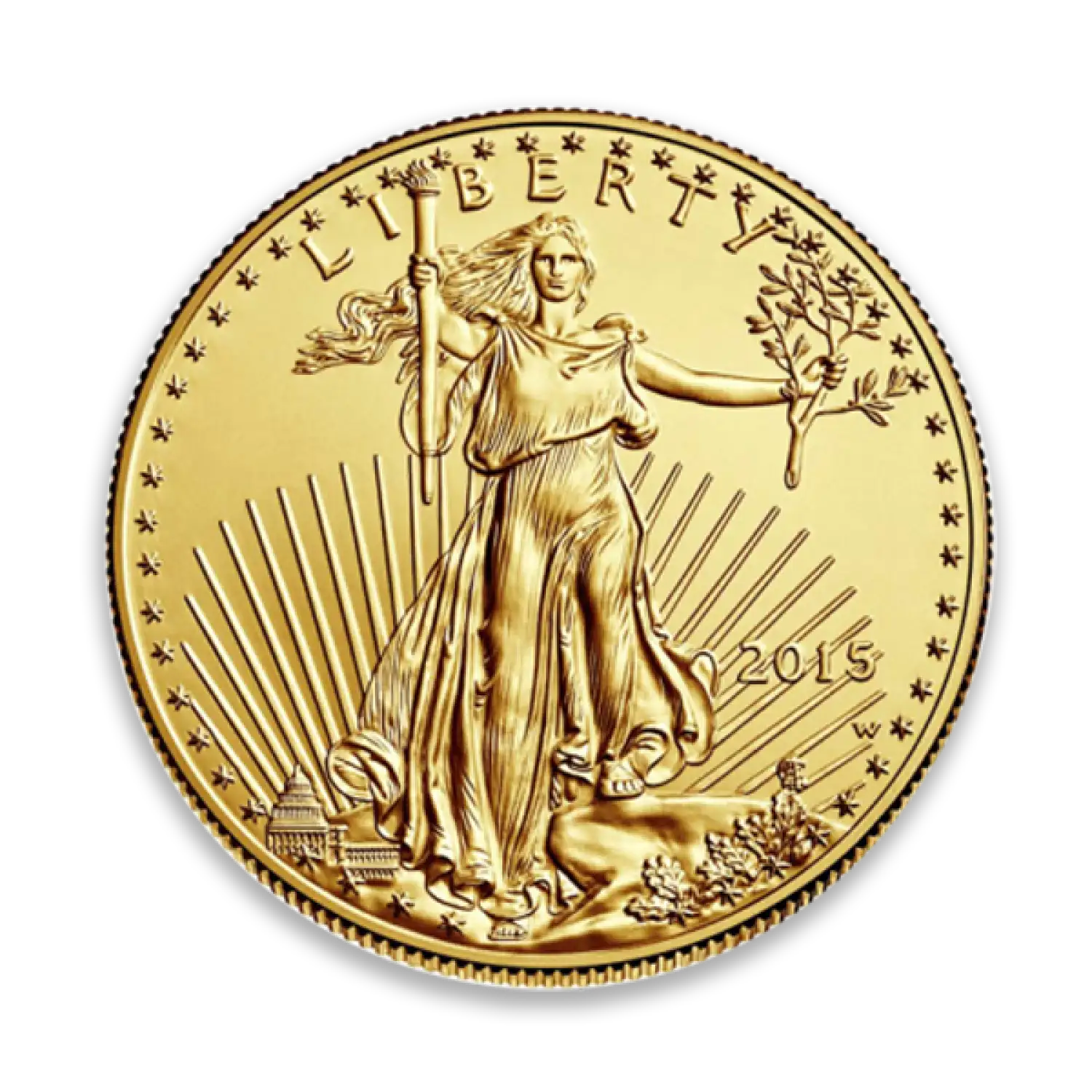 Half Ounce American Eagle Gold Coin | 25 Dollar Gold Coin - Hyatt Coins