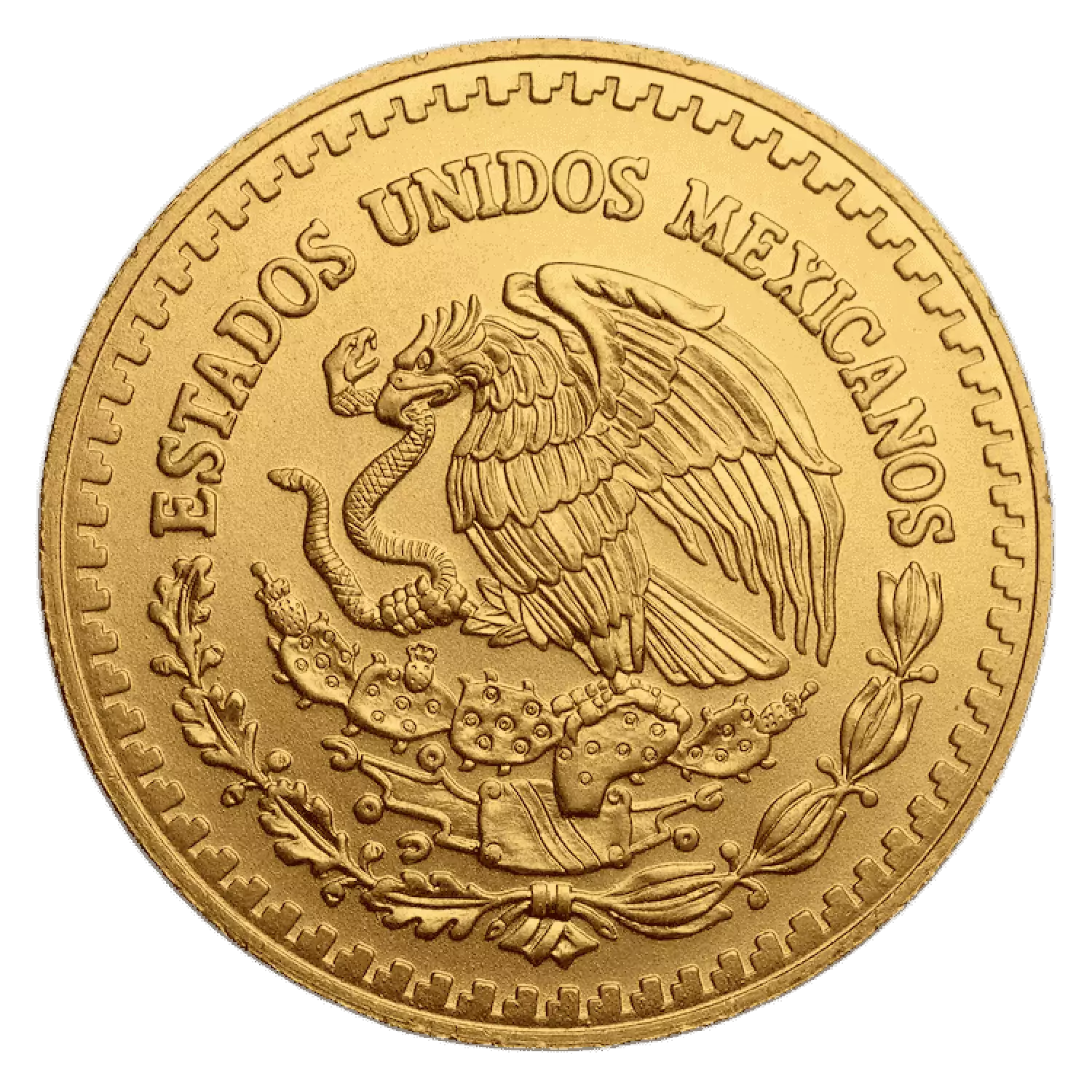 Any Year 1/2oz Mexican Gold Libertad - Hyatt Coins