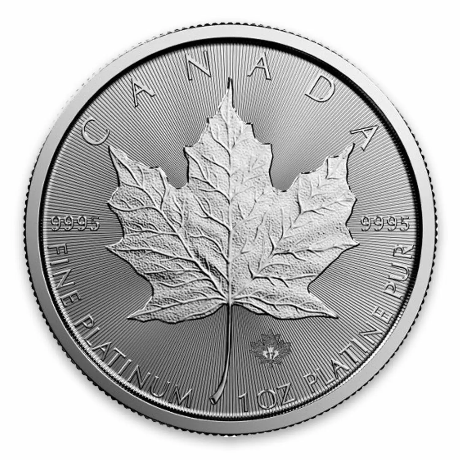 1 oz Platinum Maple Leaf Coin | Canadian Platinum Coin - Hyatt Coins